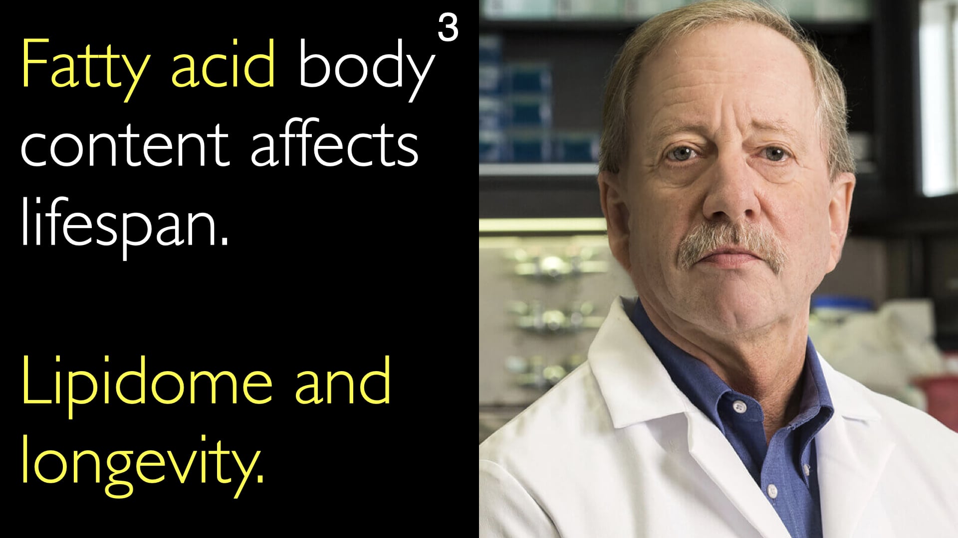 Fatty acid body content affects lifespan. Lipidome and longevity. 3 – DiagnosticDetectives.Com